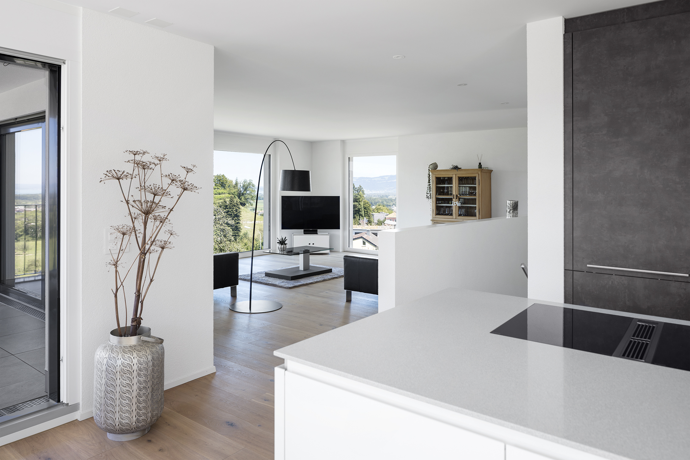 Starhaus AG - modernes Einfamilienhaus mit traumhaftem Bodenseepanorama ...